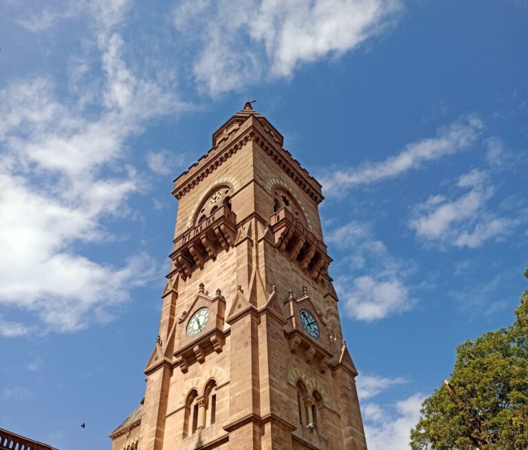 Chhari Dhand Kutch Wetland Reserve: What You Need to Know